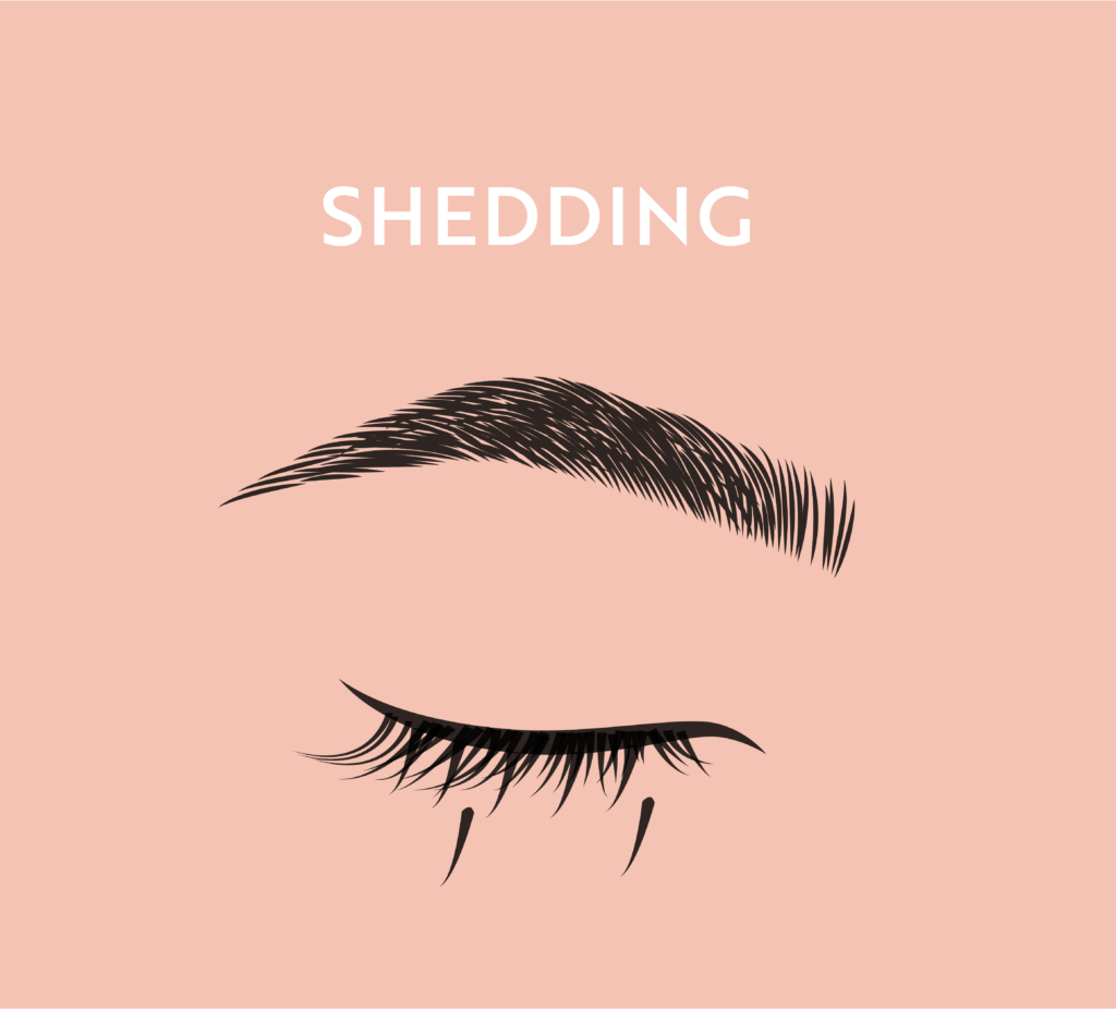 Eyelash Extensions for Beginners - Essential Beauty & Piercing