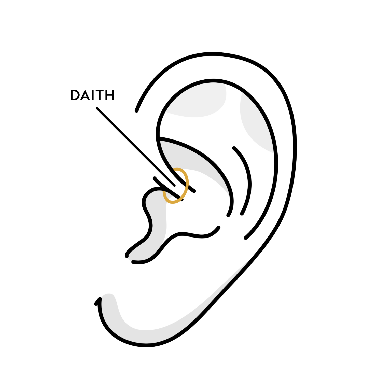 What's a Daith Piercing? - Essential Beauty & Piercing