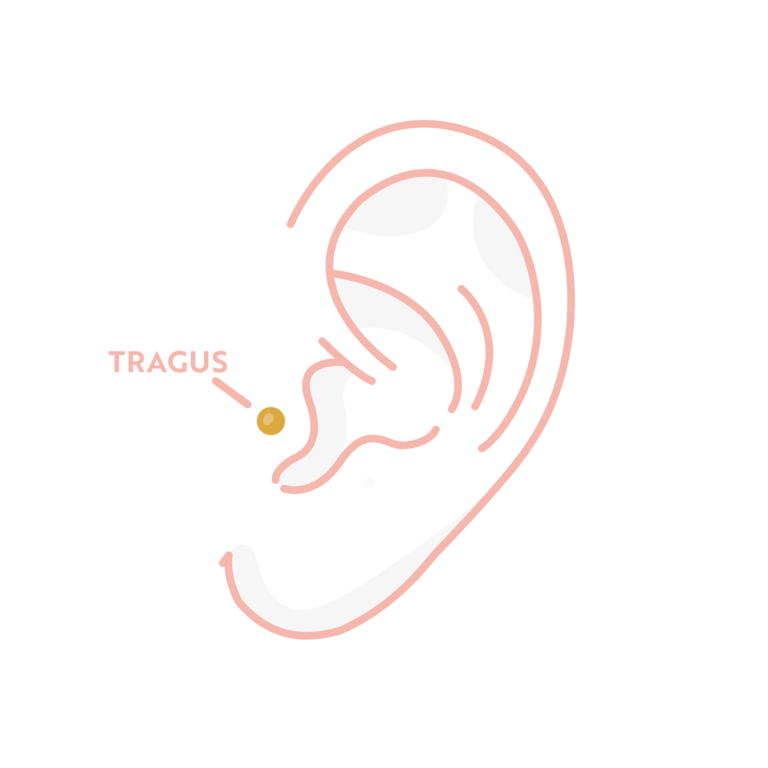 Everything About Tragus Piercings - Essential Beauty & Piercing