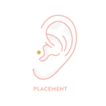 Everything About Tragus Piercings - Essential Beauty & Piercing