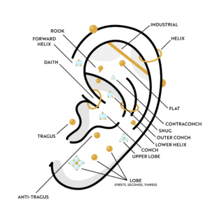 Labelled Ear Piercings - Essential Beauty & Piercing