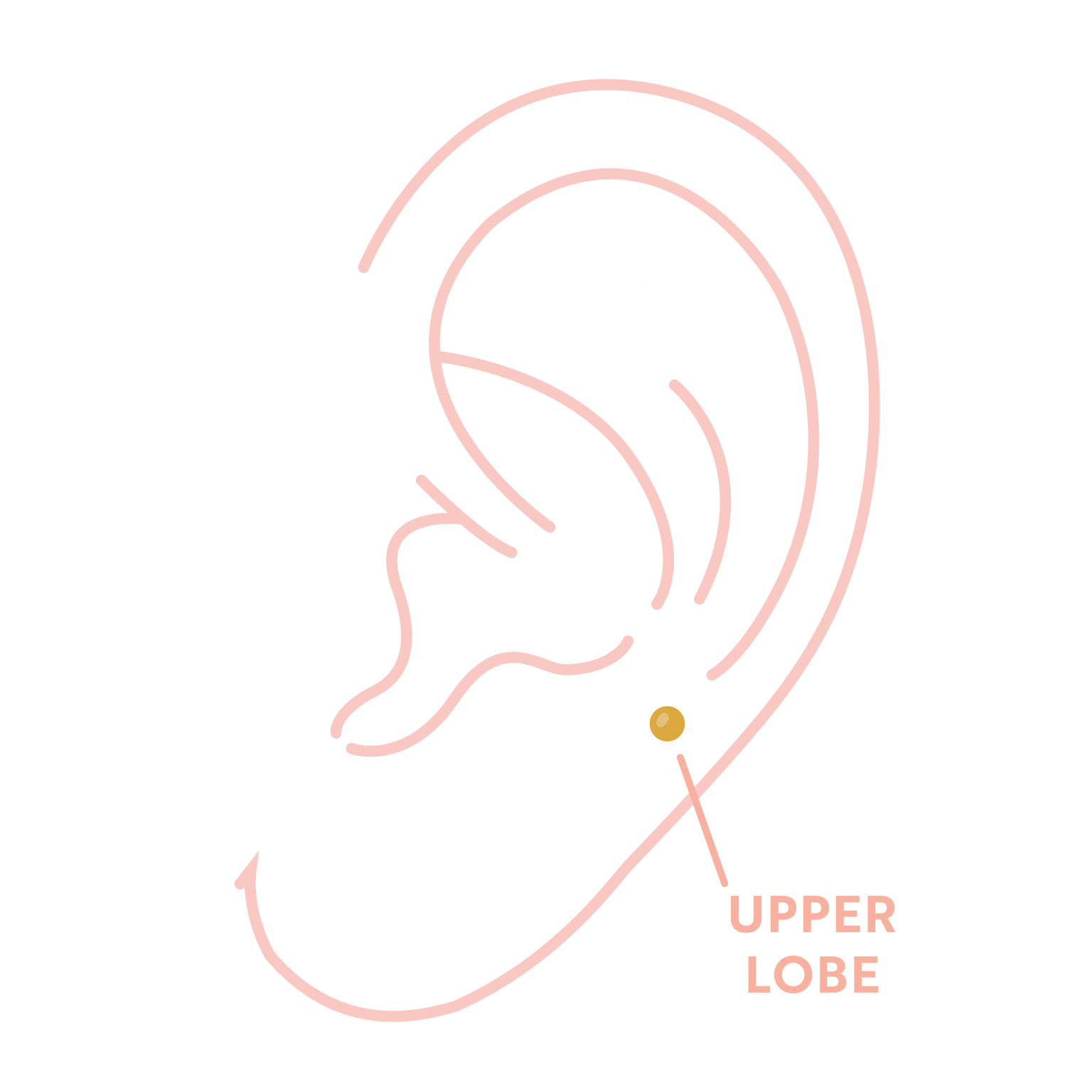 Upper Lobe Piercings Essential Beauty And Piercing