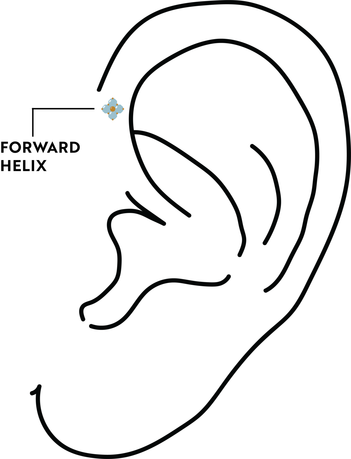 A Guide to Forward Helix Piercings: Process, Healing and more ...