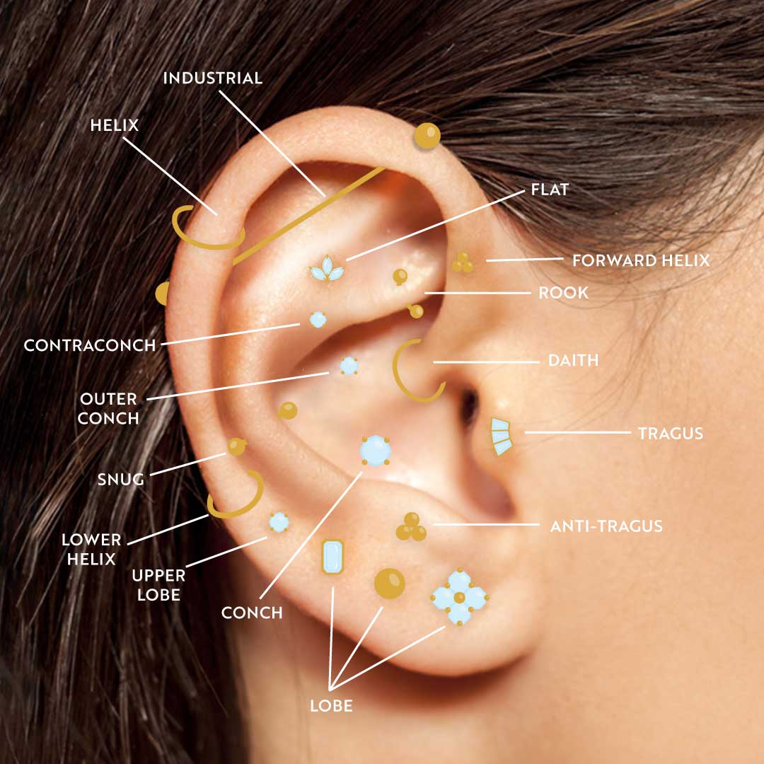 What is a contraconch piercing? - Essential Beauty & Piercing